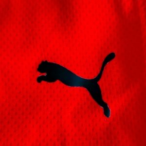 Puma | Matching Sets | Nwt Boys Puma Activewear 2piece Short Set | Poshmark